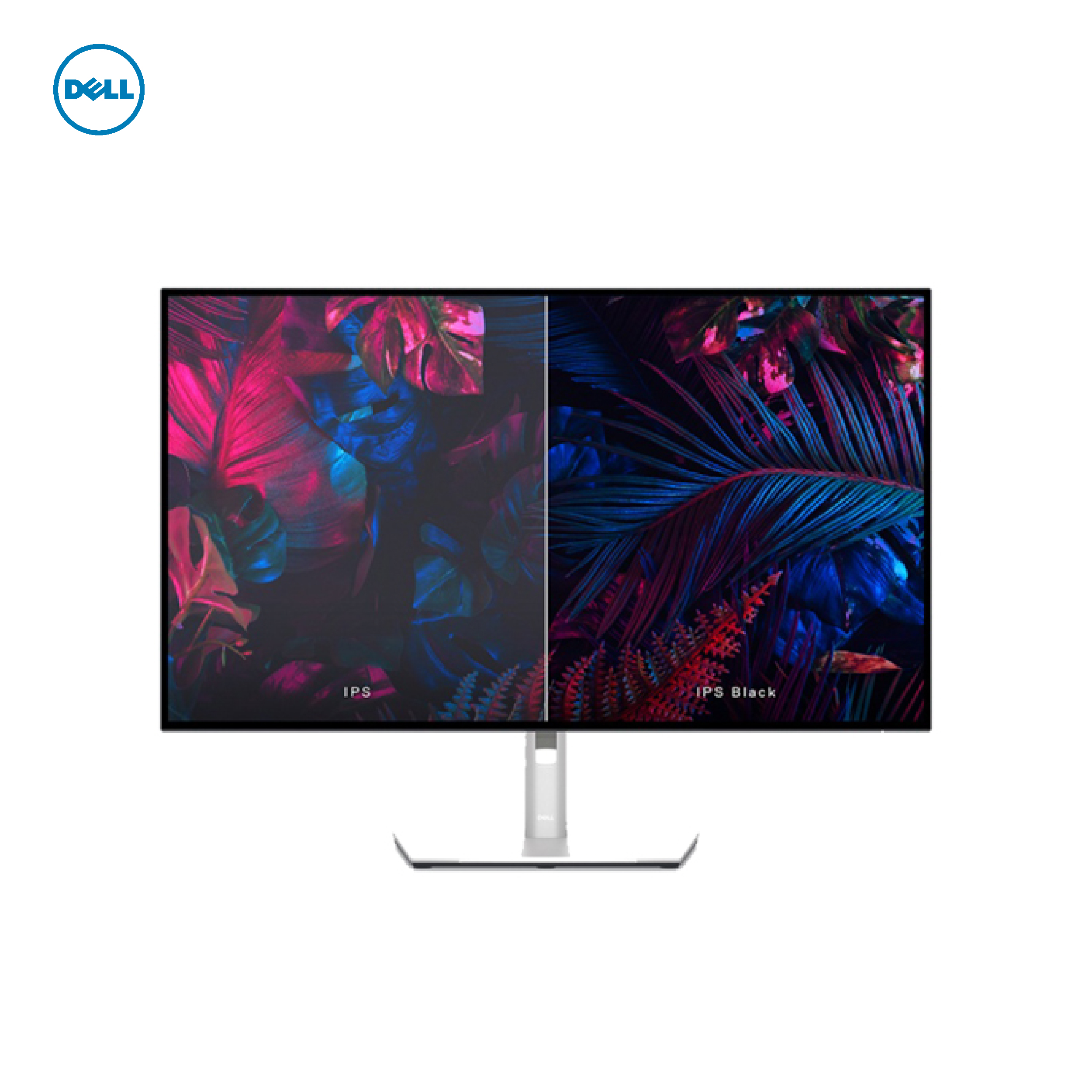 Dell UltraSharp 25” IPS / USB-C Monitor (U2520D) / 2560 x 1440 at 60Hz ...